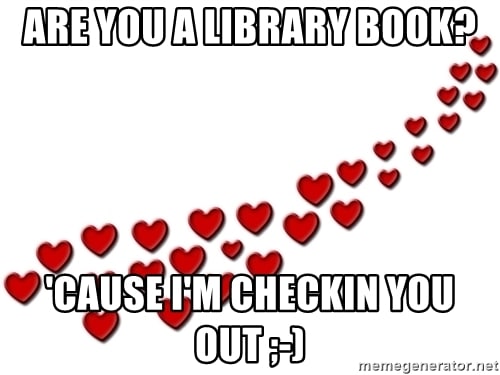 are-you-a-library-book-cause-im-checkin-you-out-